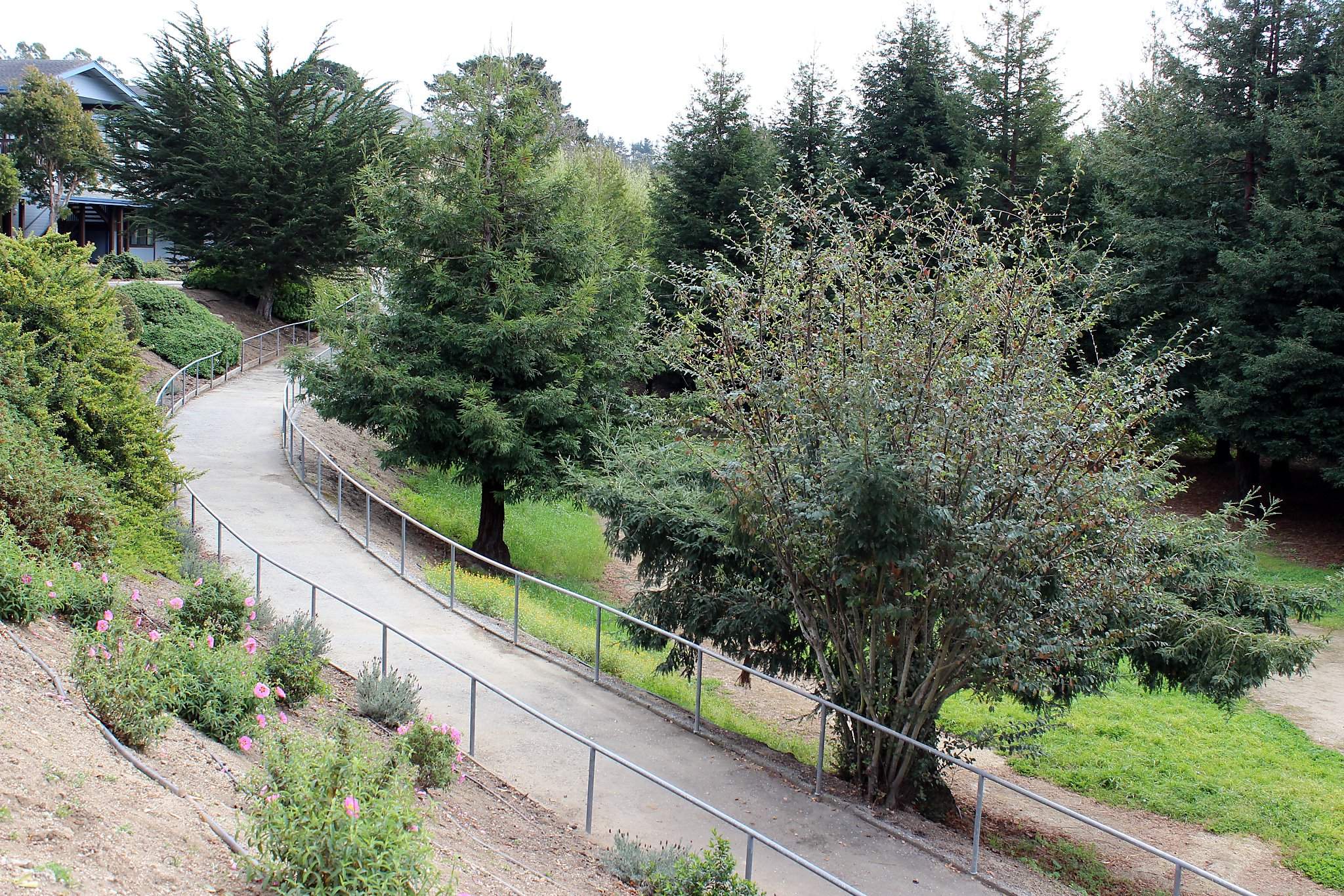 6 places to check out in Half Moon Bay