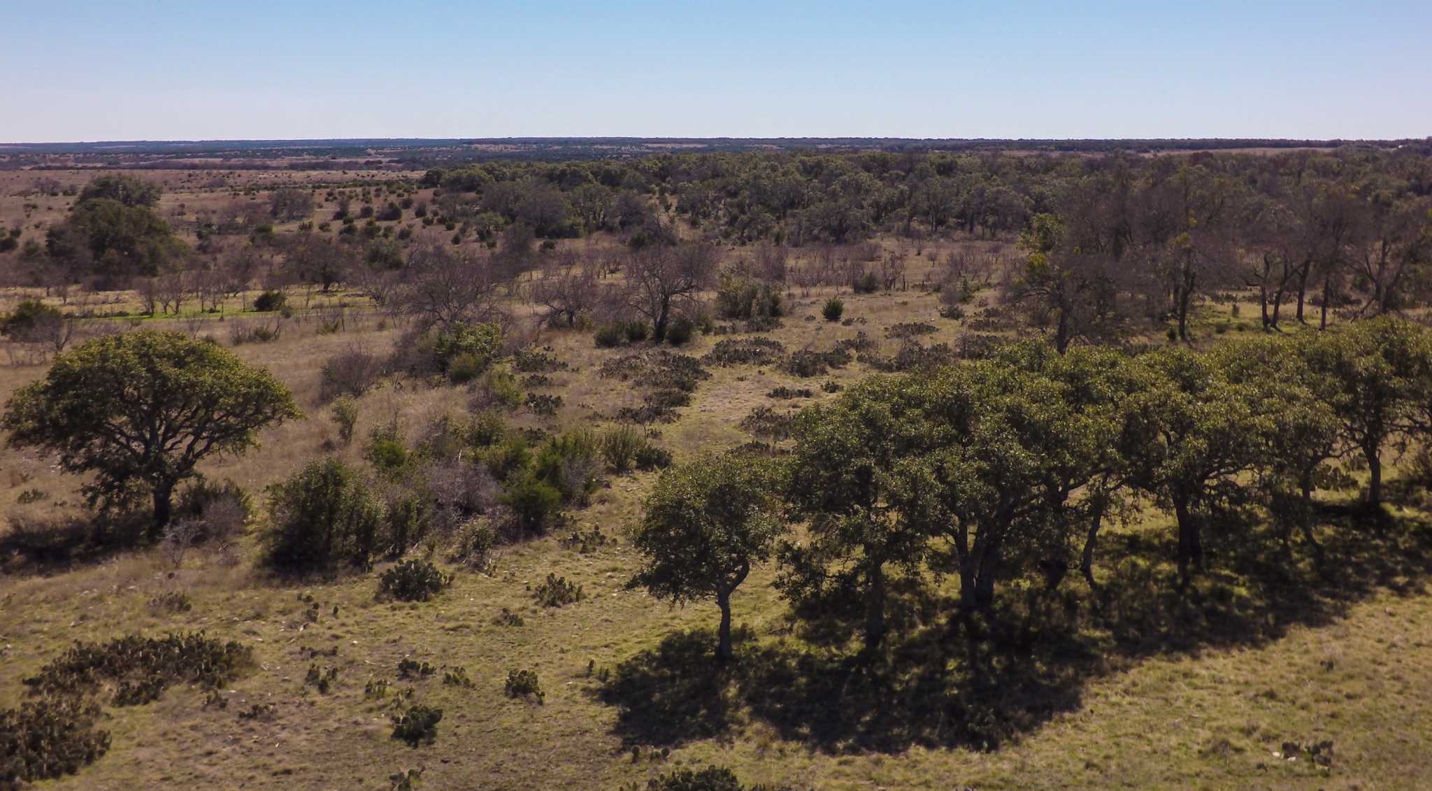 Facts about Texas' most prominent, historic ranches