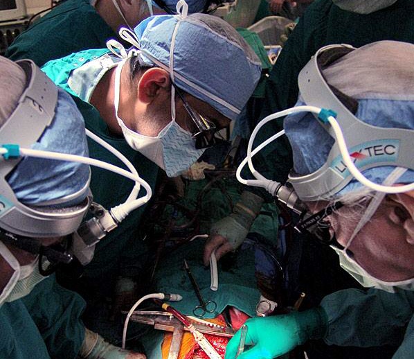 Big idea: Replacing the human heart