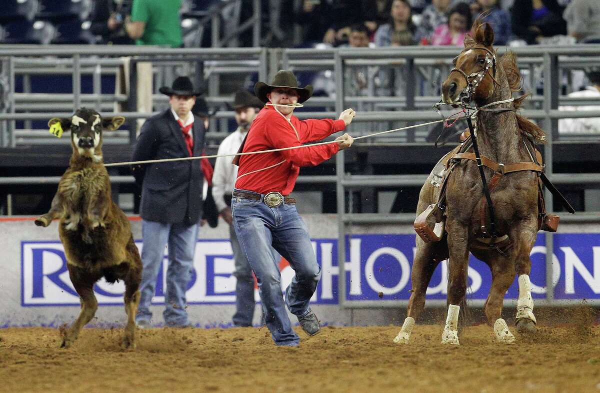 Rodeo and Pitbull blend well