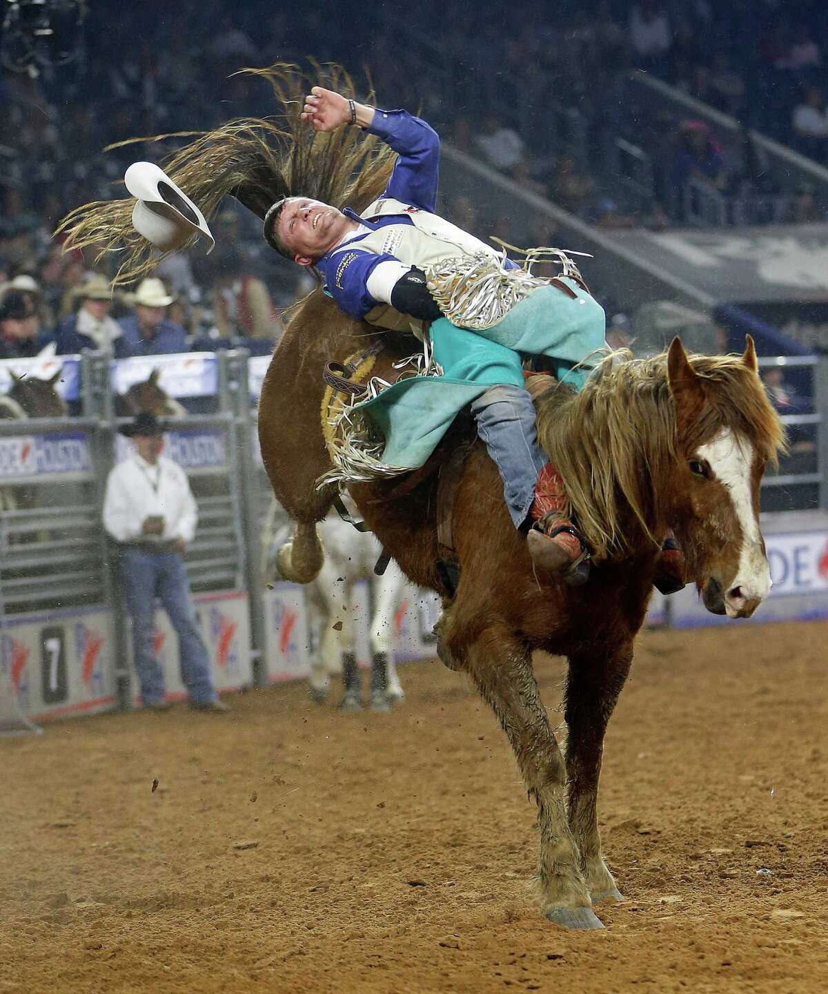 Rodeo and Pitbull blend well