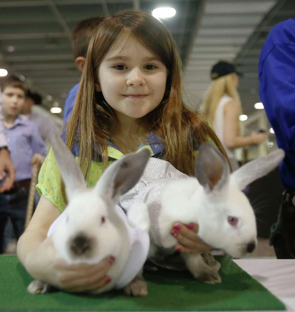 Rabbit and Cavy Costume Contest