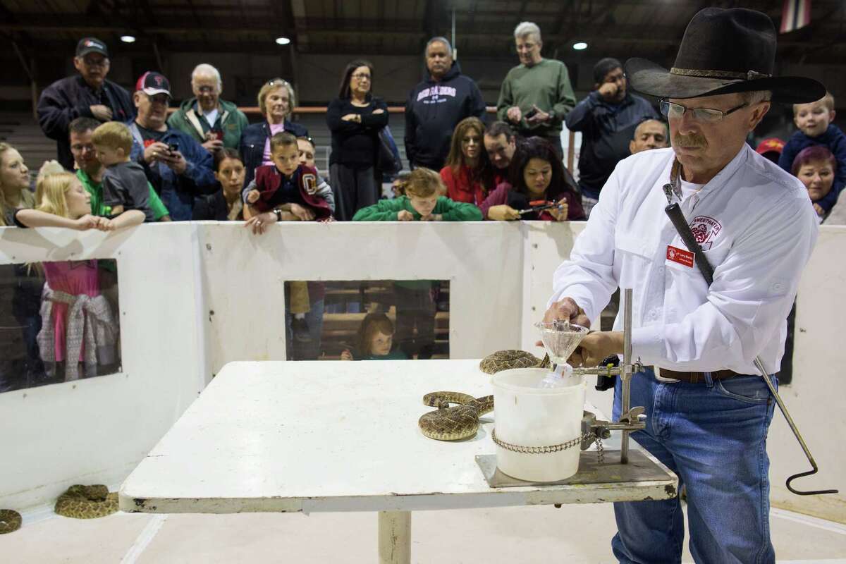 Sweetwater's Rattlesnake Roundup: Still the weirdest event in Texas