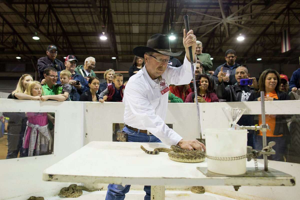 Sweetwater's Rattlesnake Roundup: Still the weirdest event in Texas