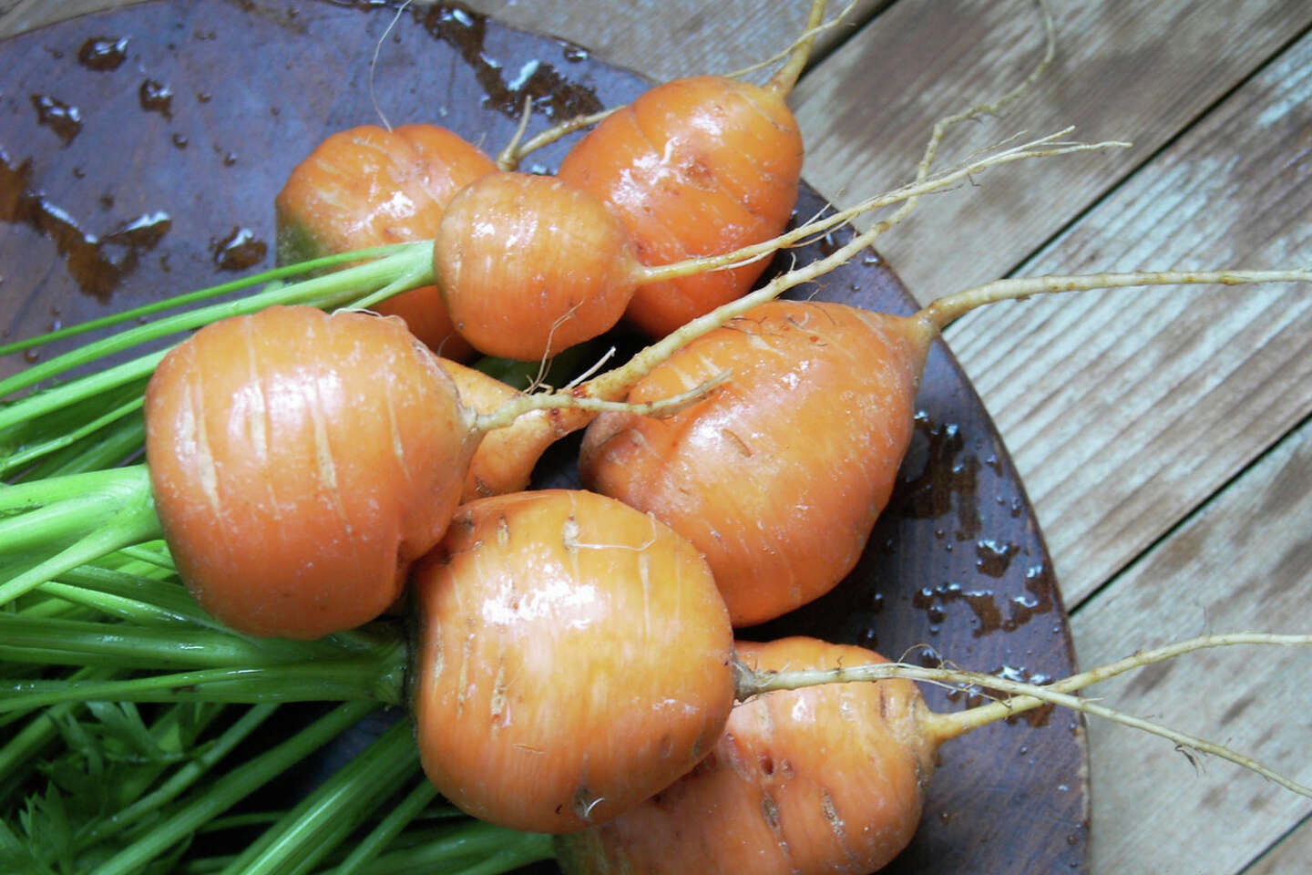 Easy-to-grow dwarf vegetables big on taste