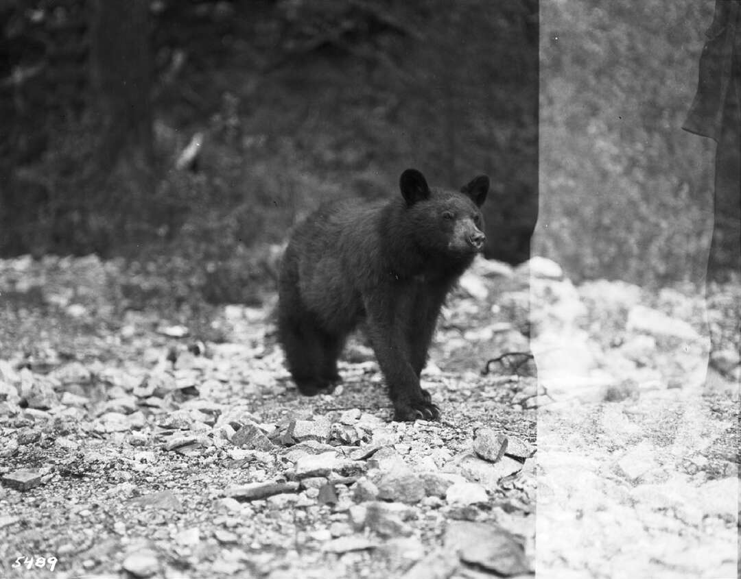 Seattle during the Great Depression