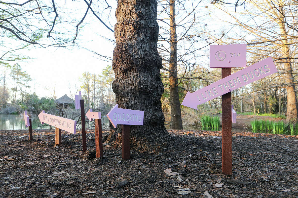 'One-Way Trail’ offers different views of nature