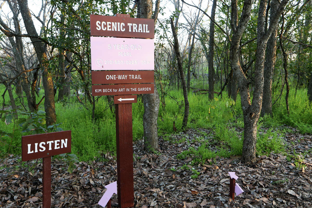 'One-Way Trail’ offers different views of nature