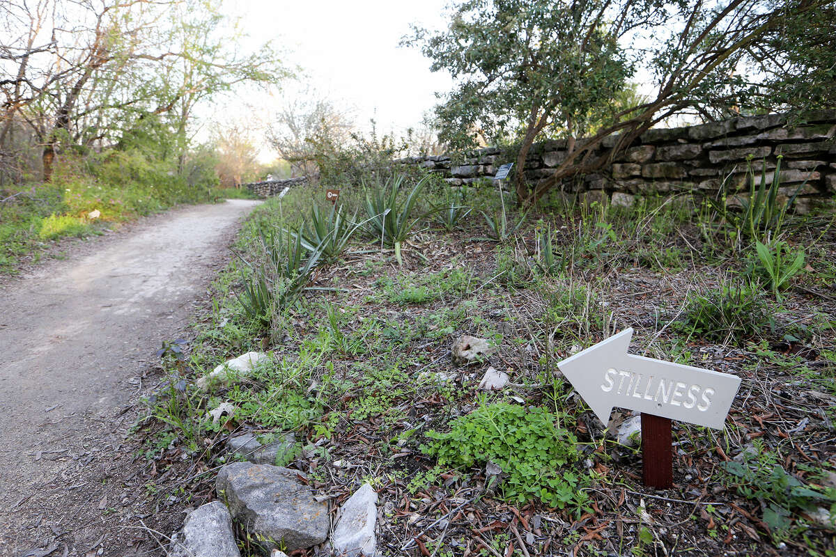 'One-Way Trail’ offers different views of nature