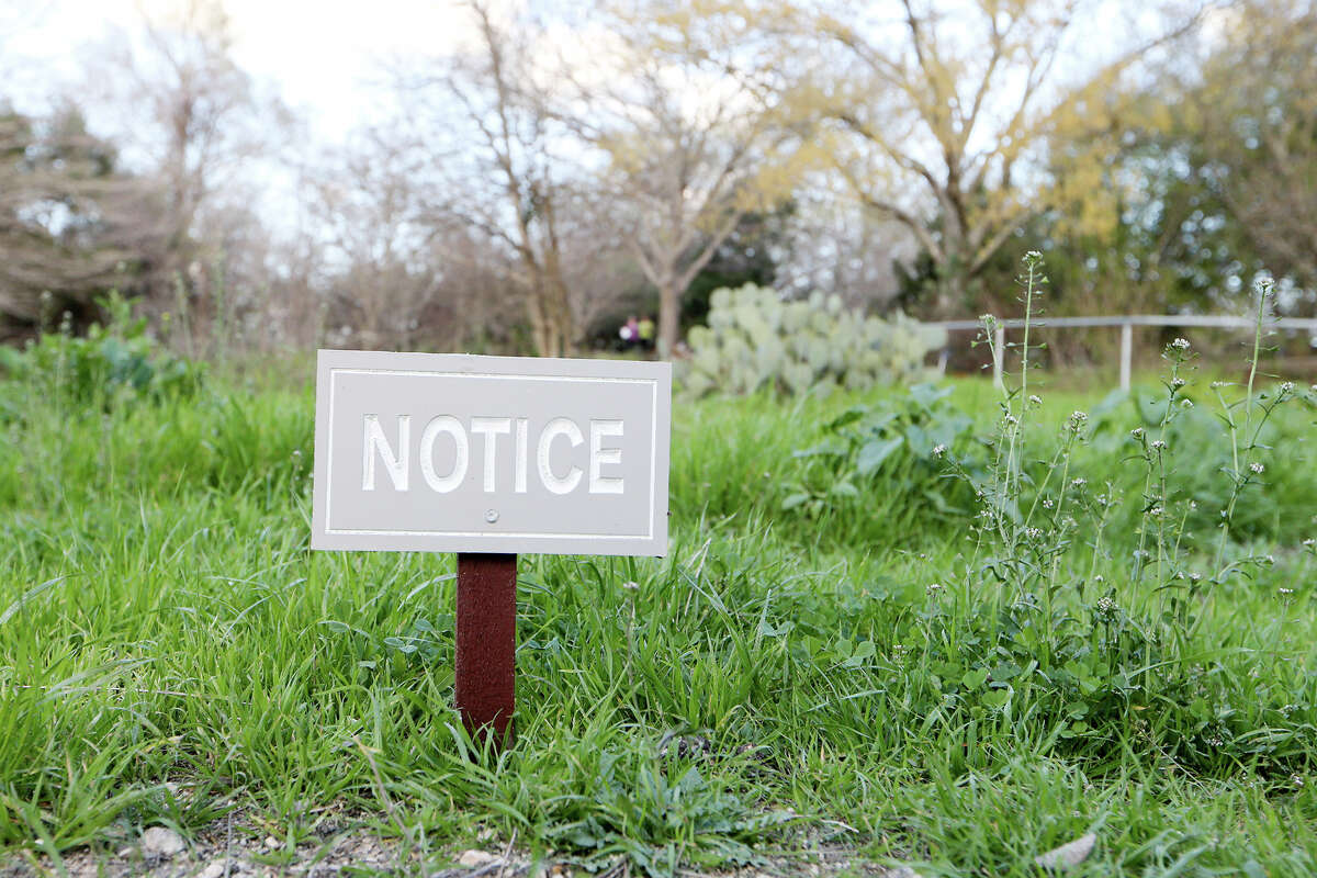 'One-Way Trail’ offers different views of nature