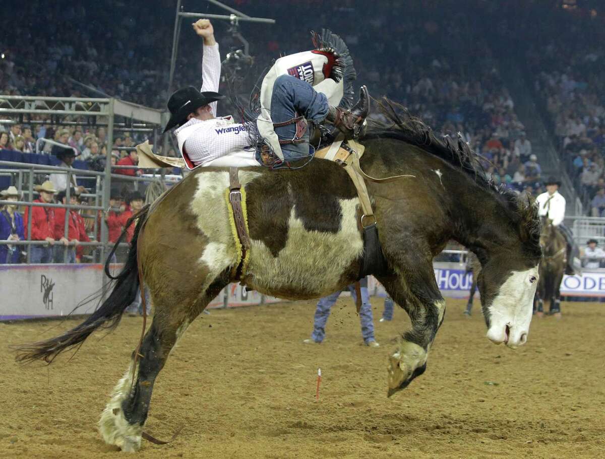 Feild advances to bareback final; Whitfield takes tie-down semi