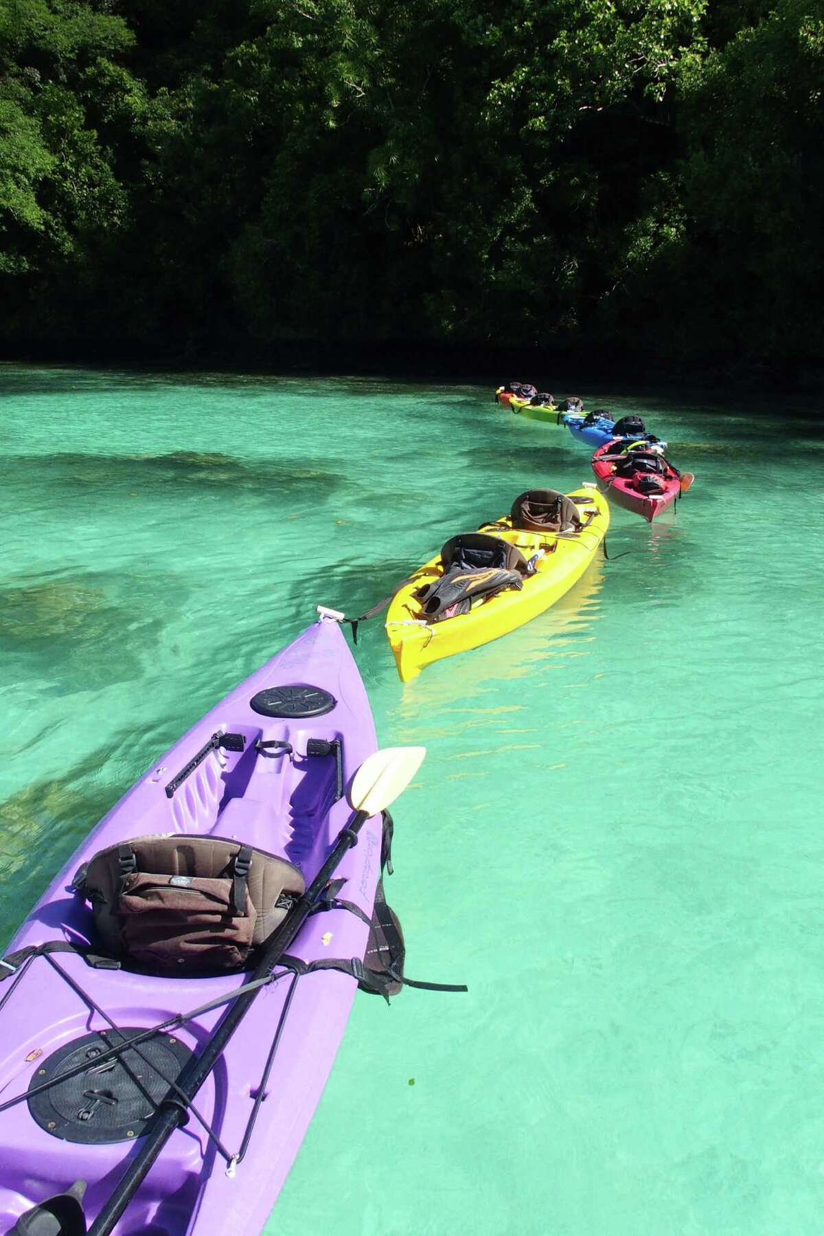 Breathtaking Palau for nondivers