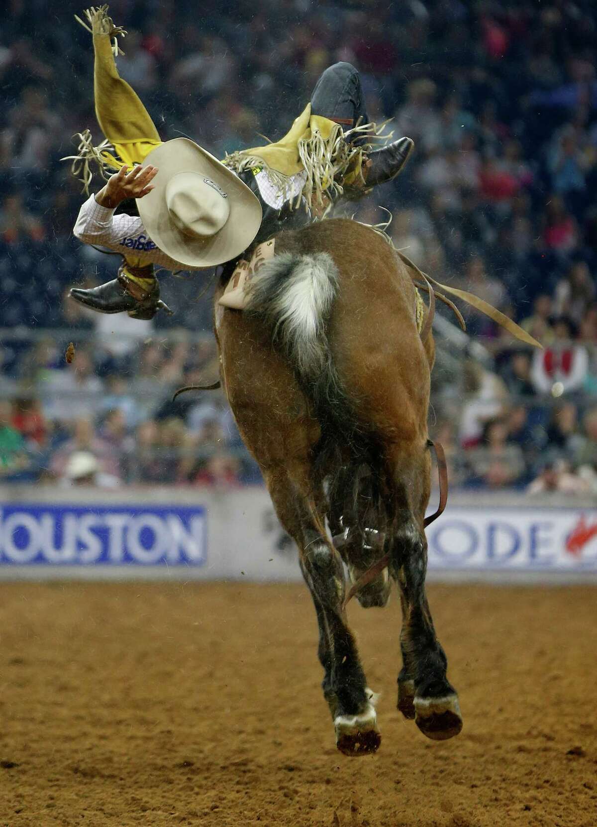 Still time to catch RodeoHouston