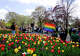 Rainbow-covered Austin police cruiser unveiled to show solidarity with ...