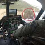 Point Reyes cliff collapse kills 1 hiker, injures another - SFGate