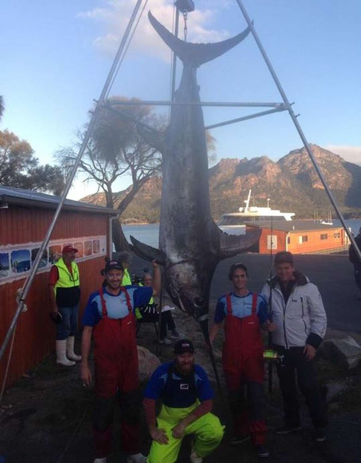 16-year-old angler catches 580-pound swordfish