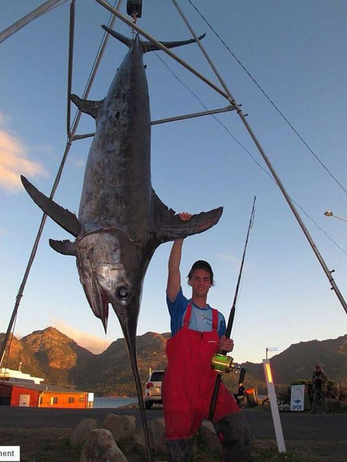 16-year-old angler catches 580-pound swordfish