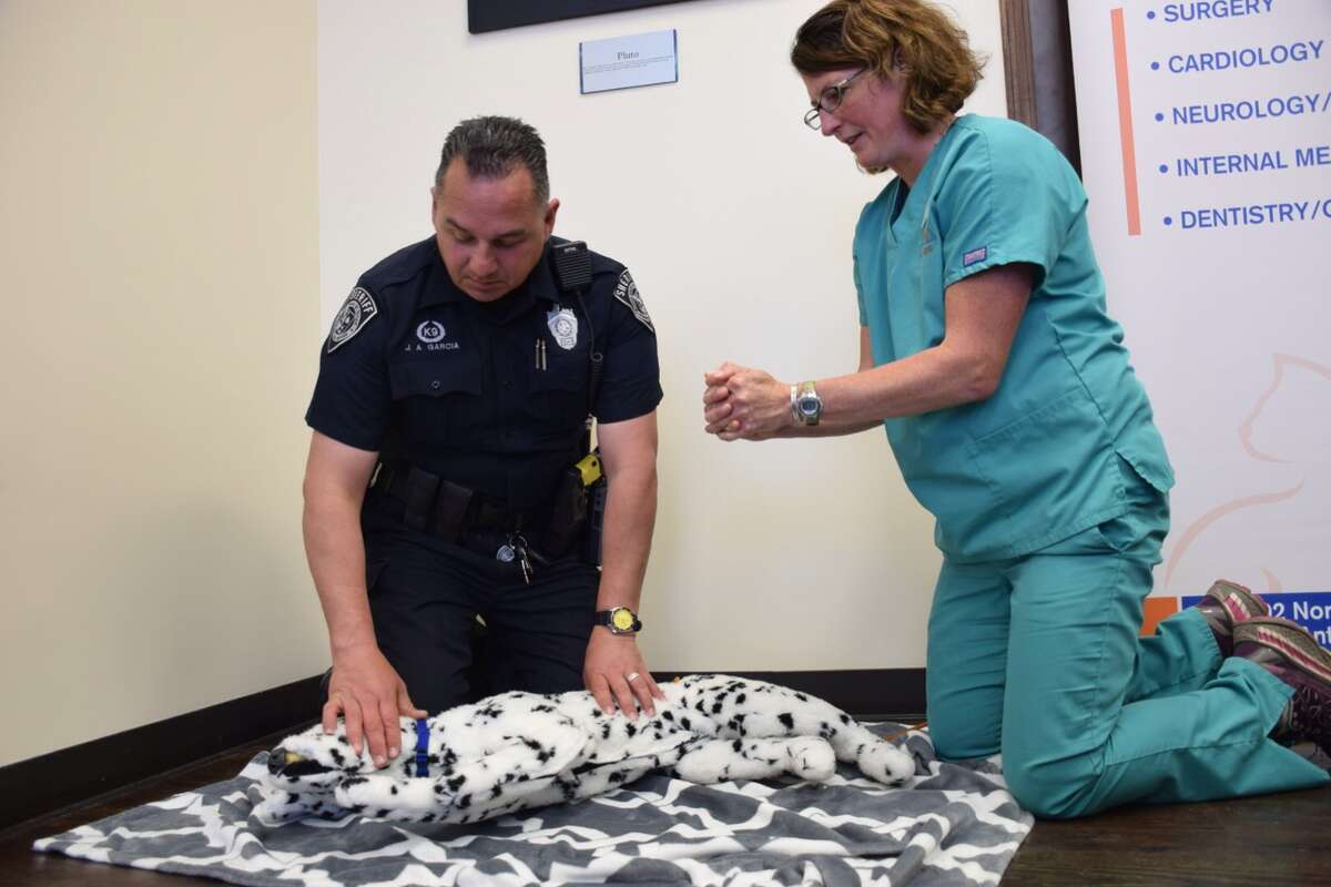 BCSO K9 Unit deputies learn to provide emergency care to their pups