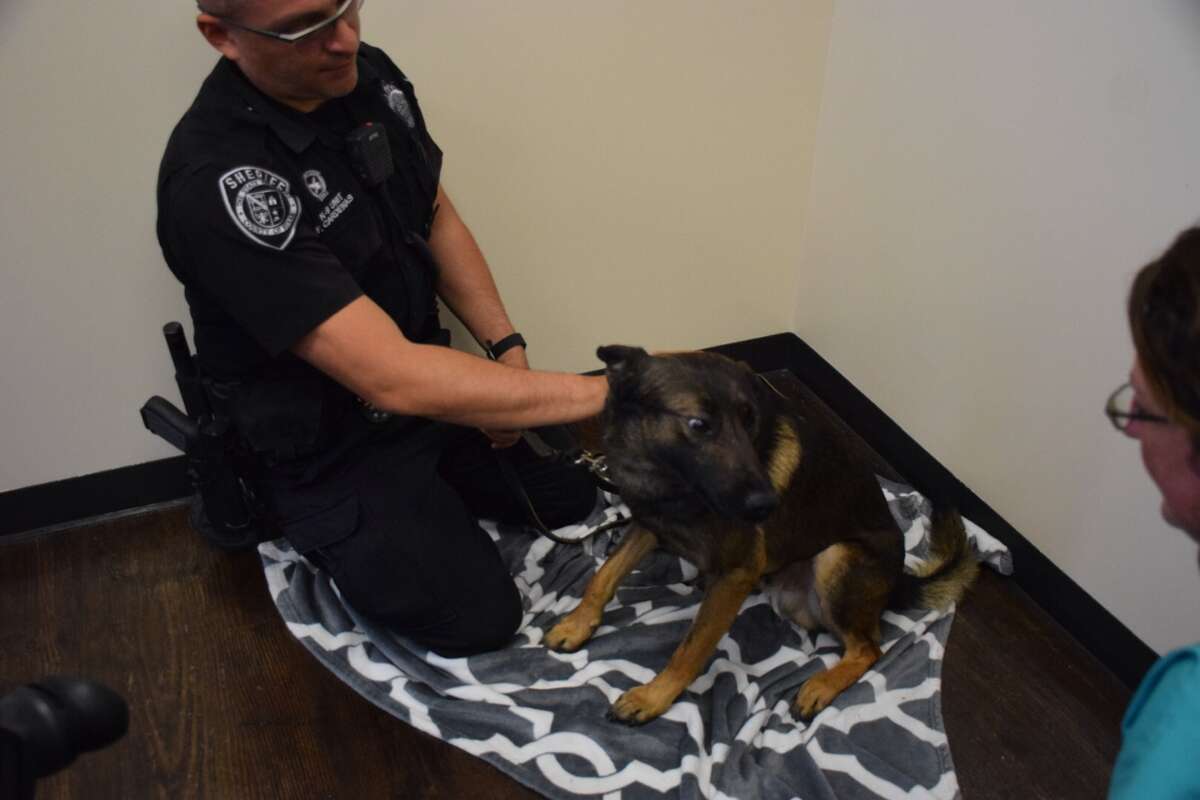 BCSO K9 Unit deputies learn to provide emergency care to their pups