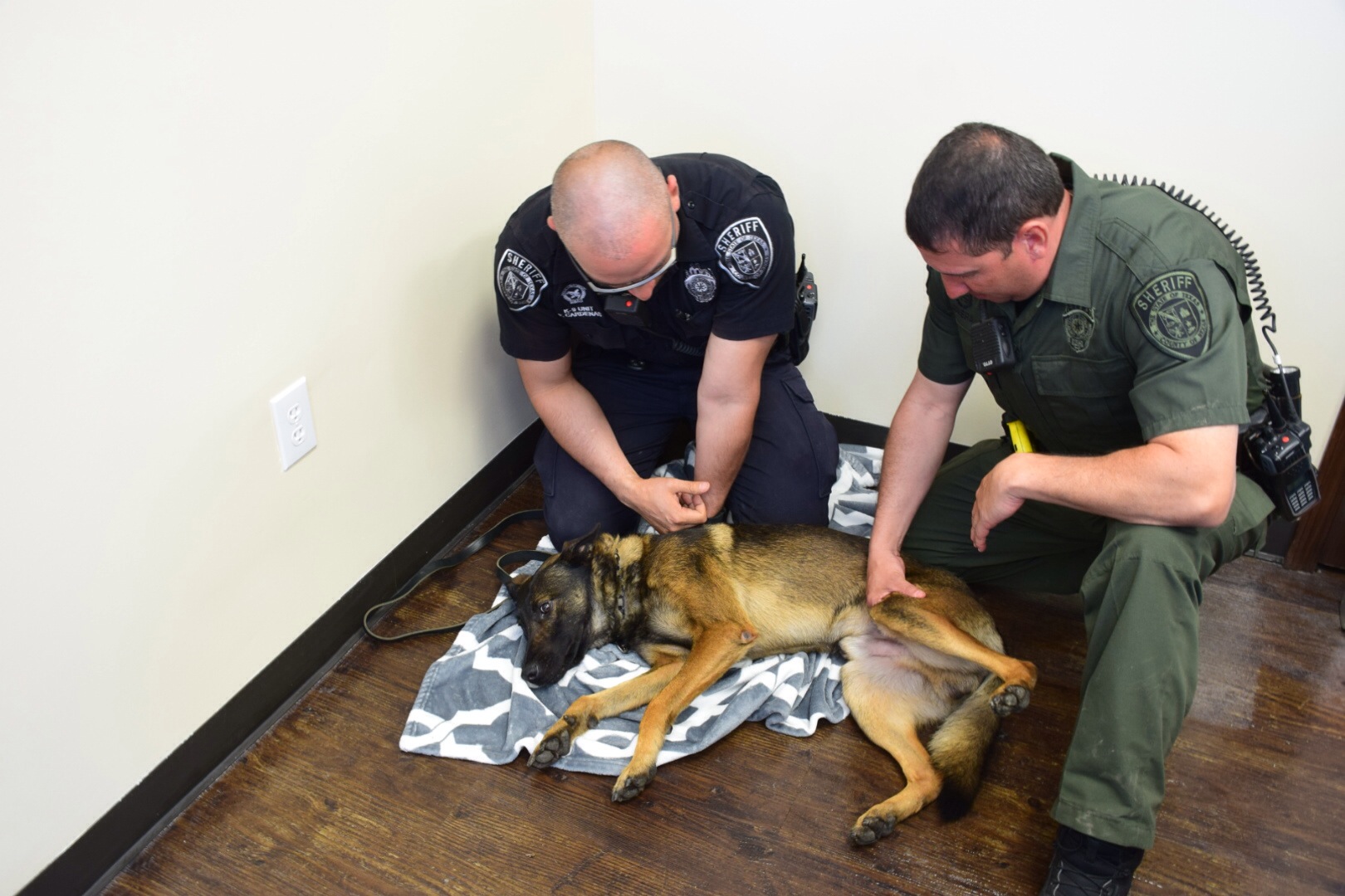 BCSO K9 Unit deputies learn to provide emergency care to their pups