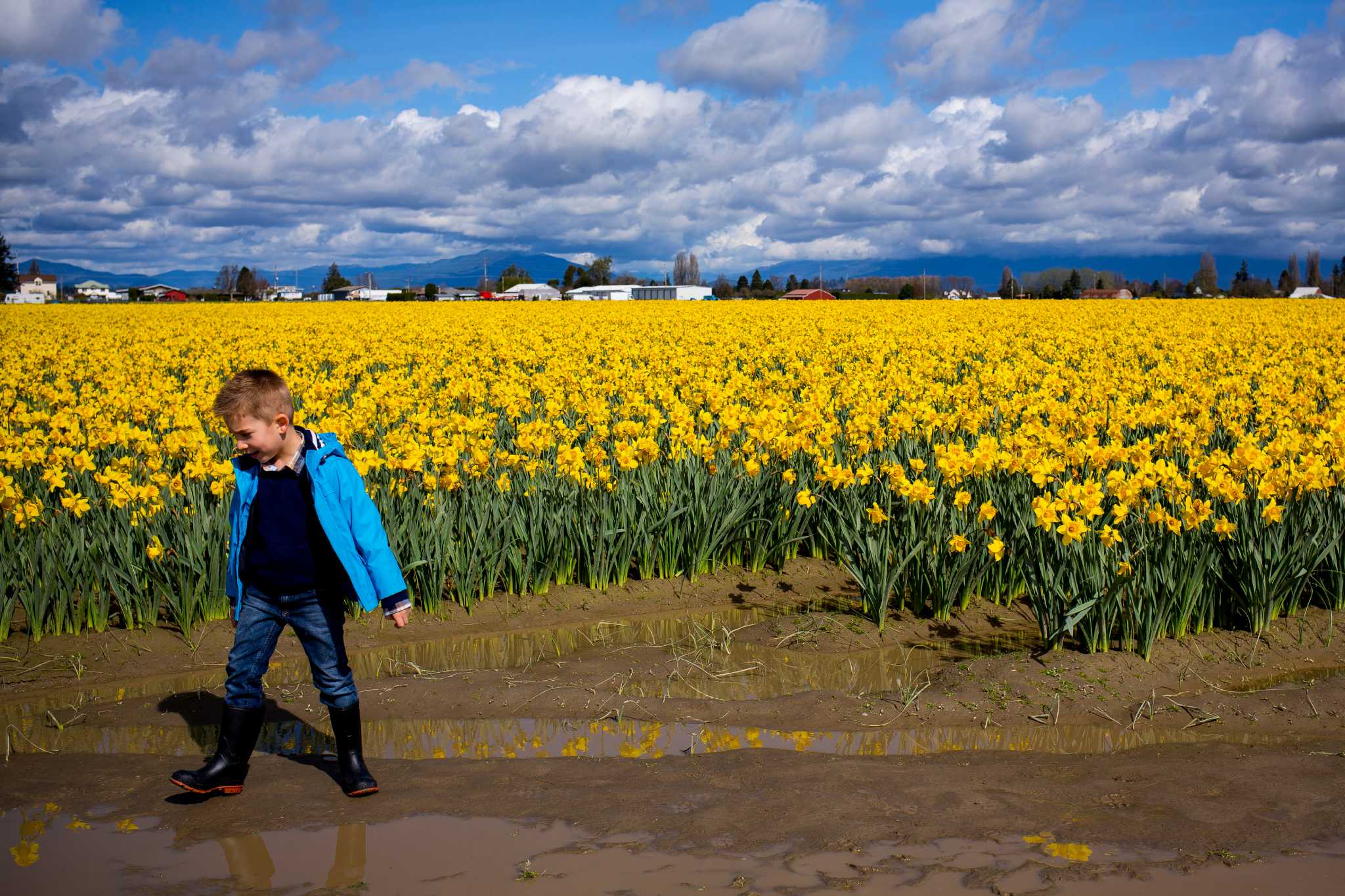 Spring in Seattle: 13 events, activities you can do this season