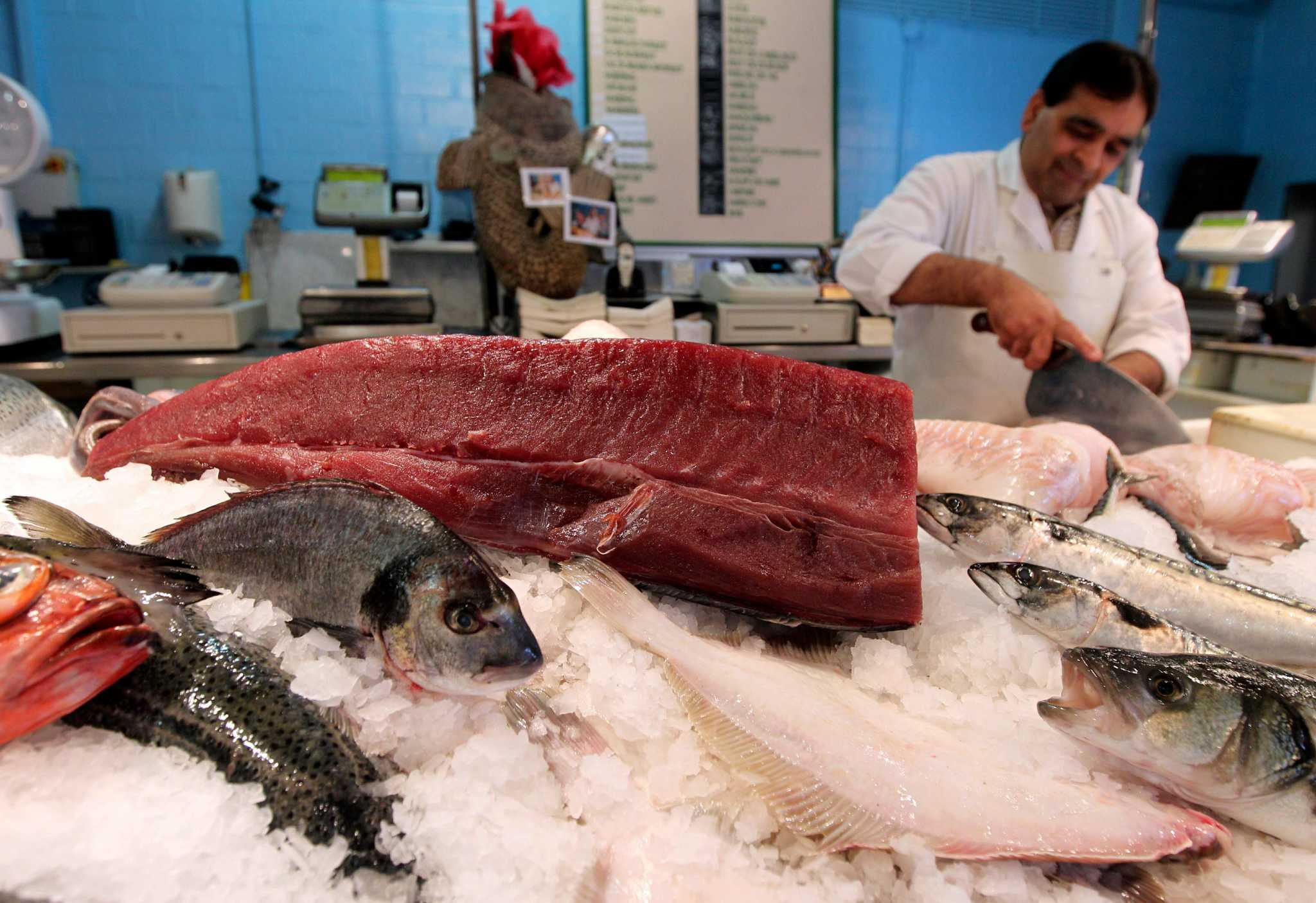 EU continues to overfish despite commitments