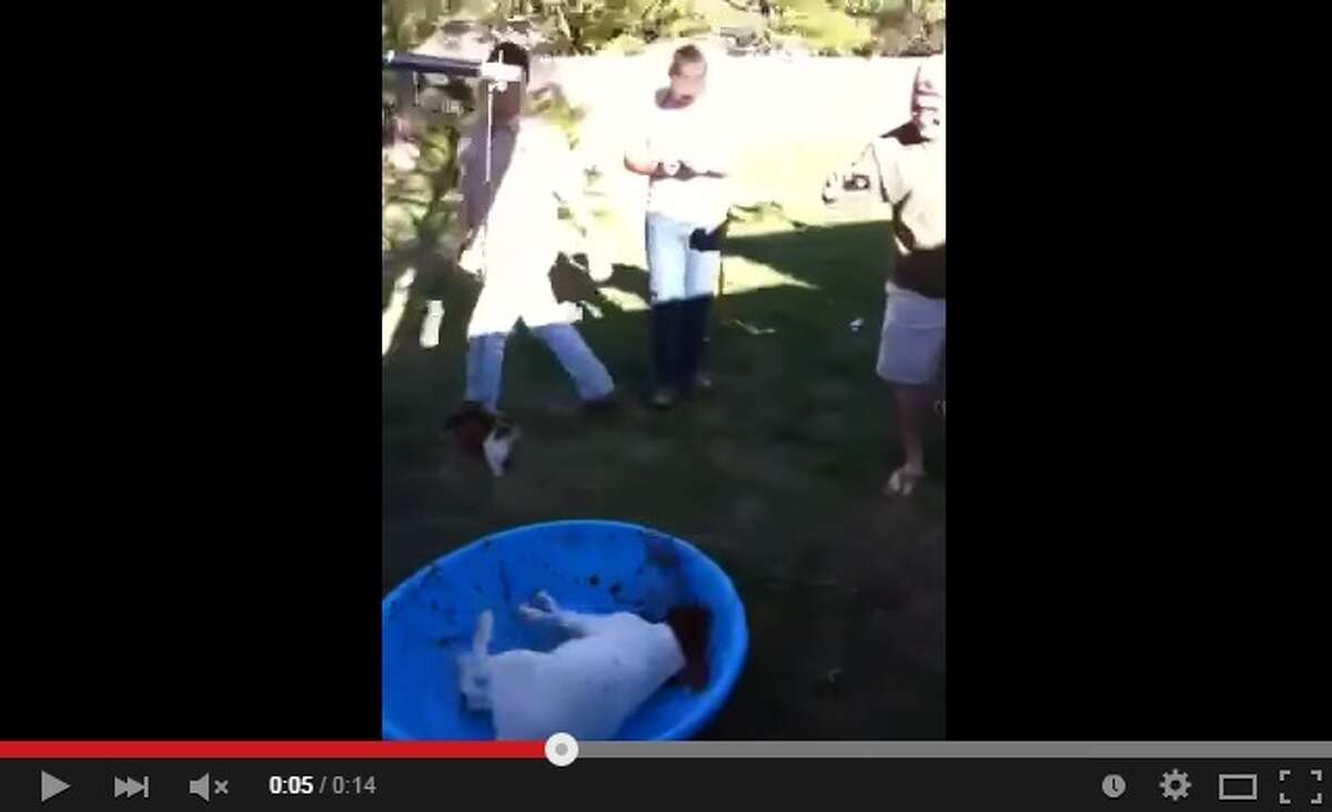 Graphic video of goat beheading near Tulane University spurs investigation