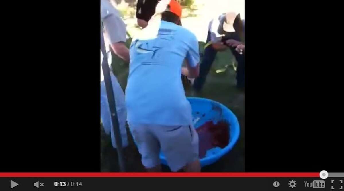 Graphic video of goat beheading near Tulane University spurs investigation