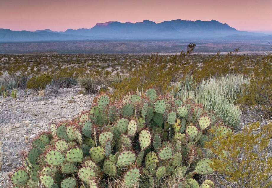 Is Australia more Texas than Texas? - San Antonio Express-News