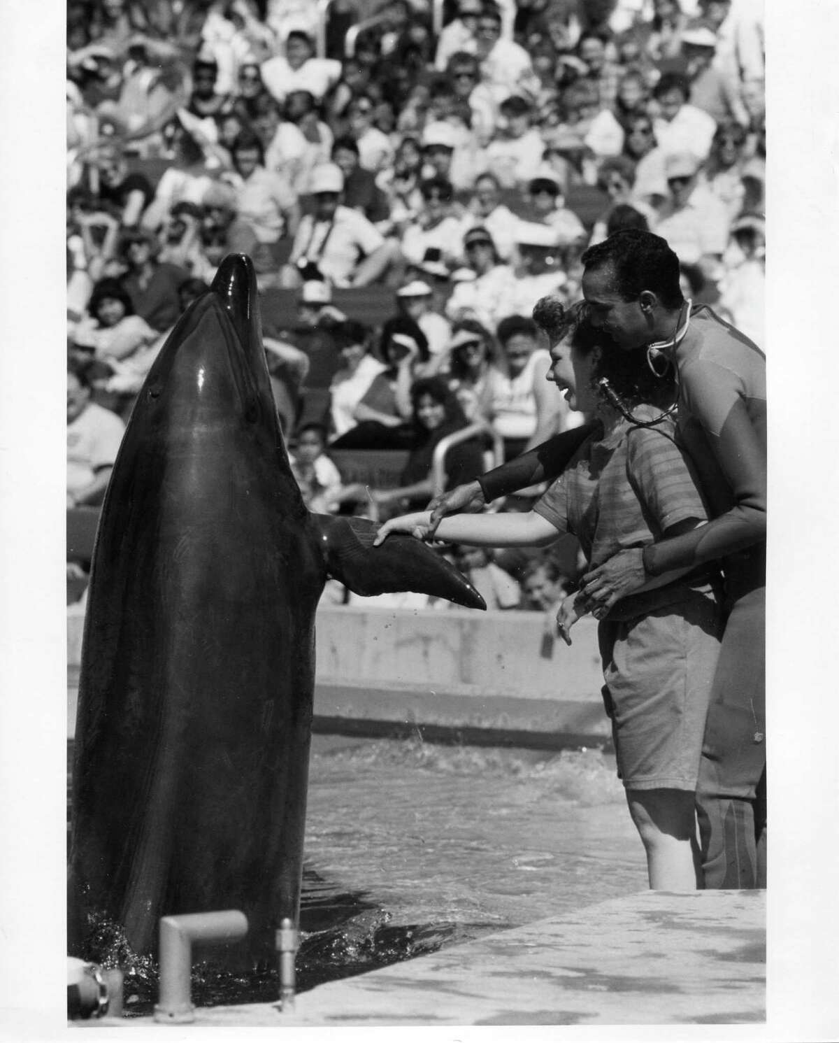 Photographs from early years of SeaWorld San Antonio