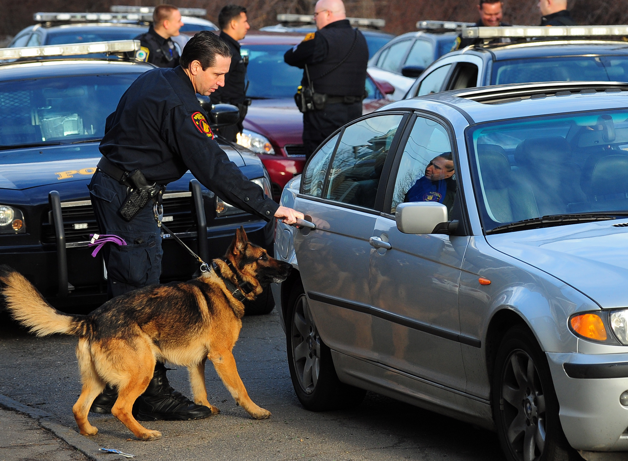 How Are Police Dogs Trained To Smell Drugs