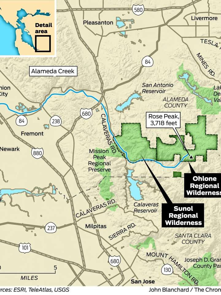 Unusual cluster of cougars roaming Sunol hills