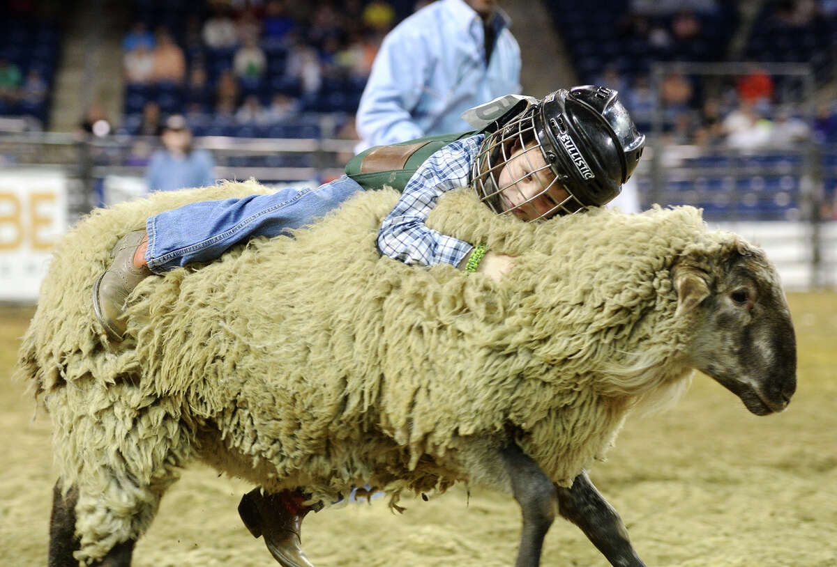 6 seconds of glory in mutton bustin'