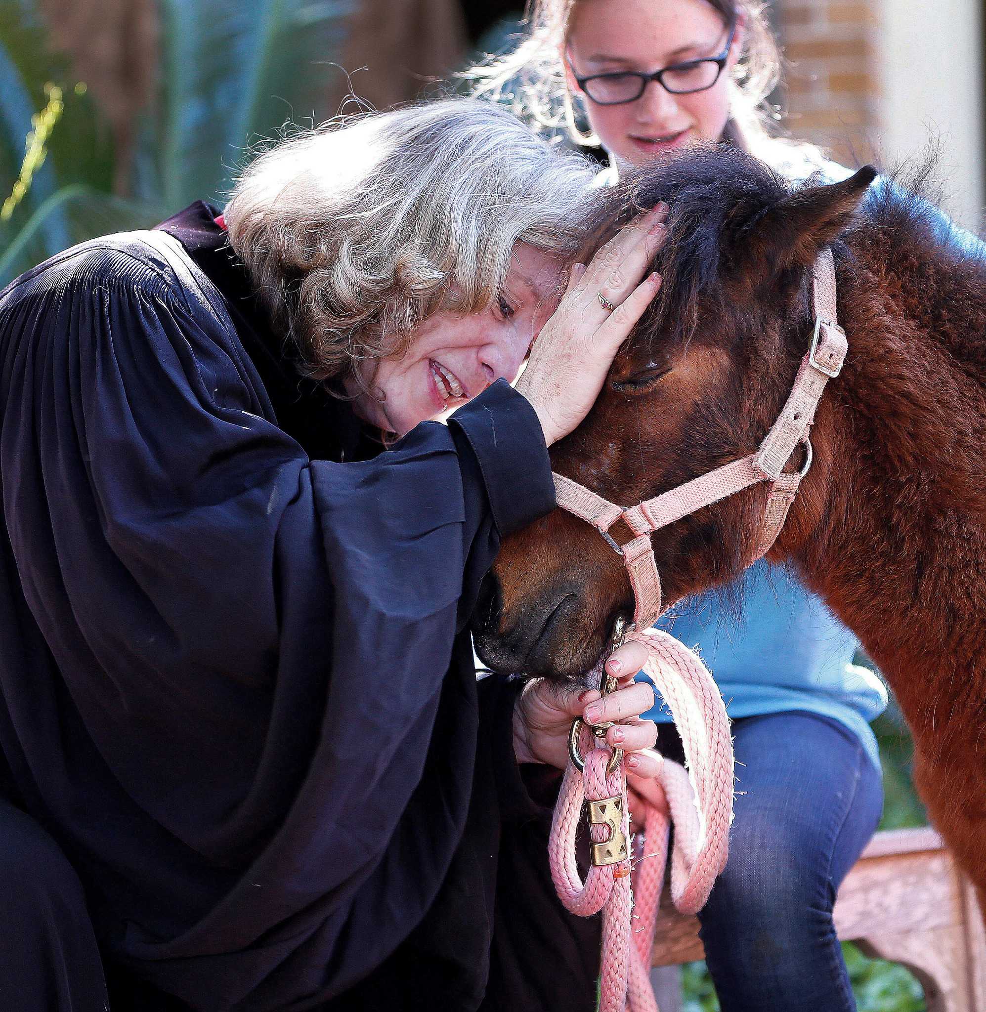 Blessing of the Pets