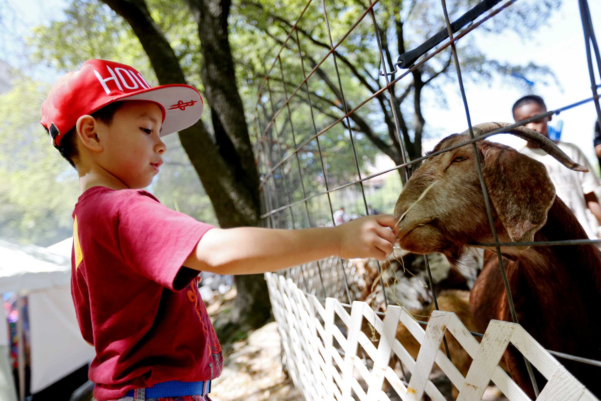 The kids are taking over these Texas' cities