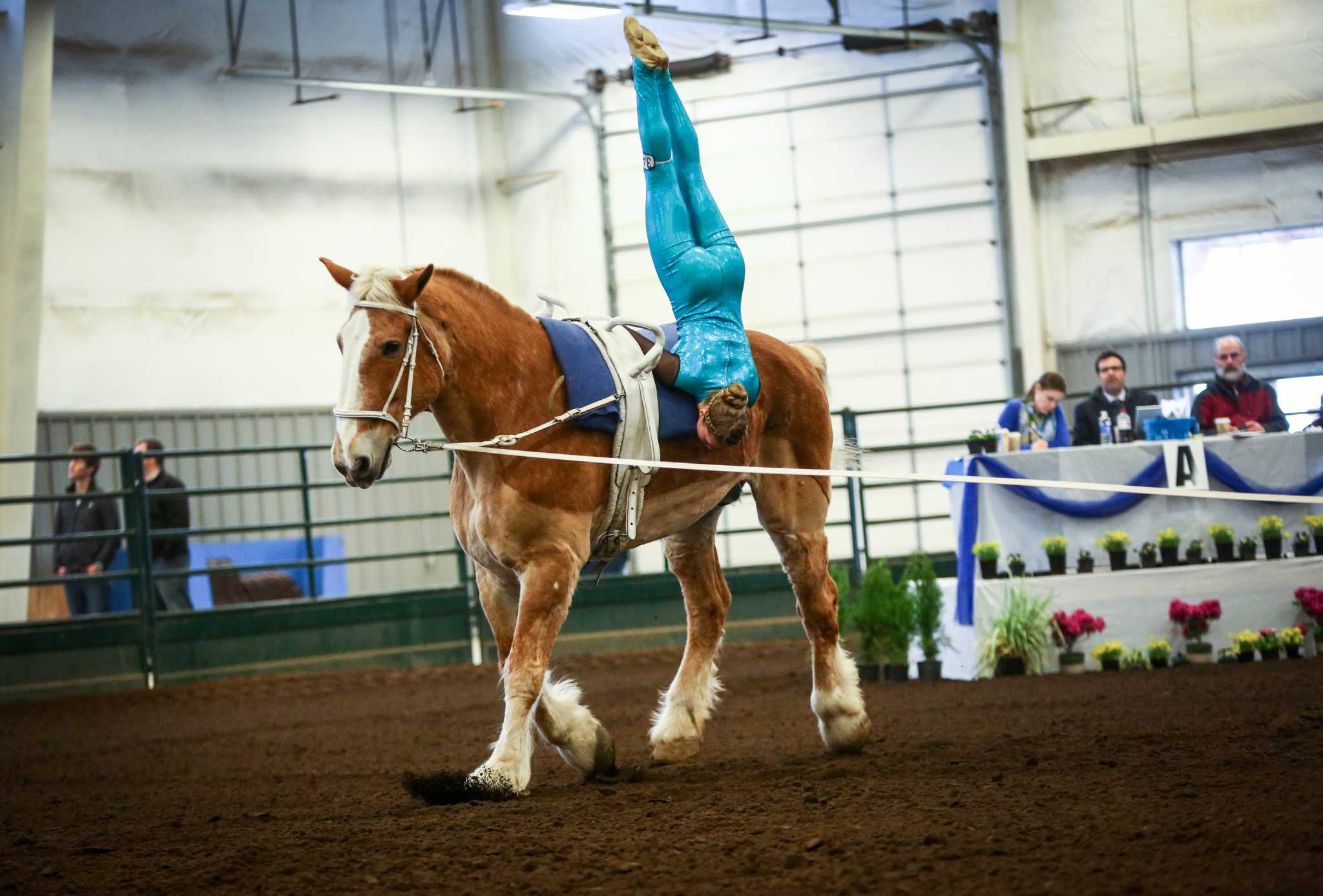Equestrian vaulting: Dance and gymnastics horseback