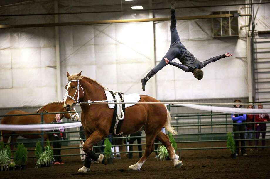 Equestrian vaulting: Dance and gymnastics horseback - seattlepi.com