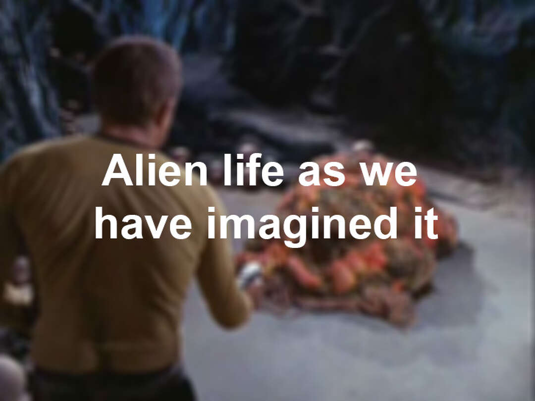 Police pull over speeding car, find alien in the passenger seat