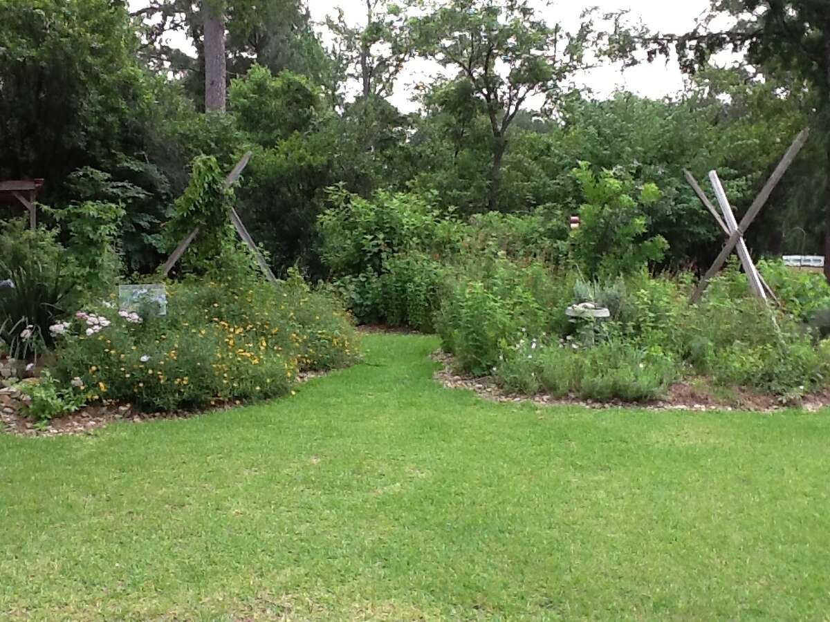 How to turn your yard into an ecosystem