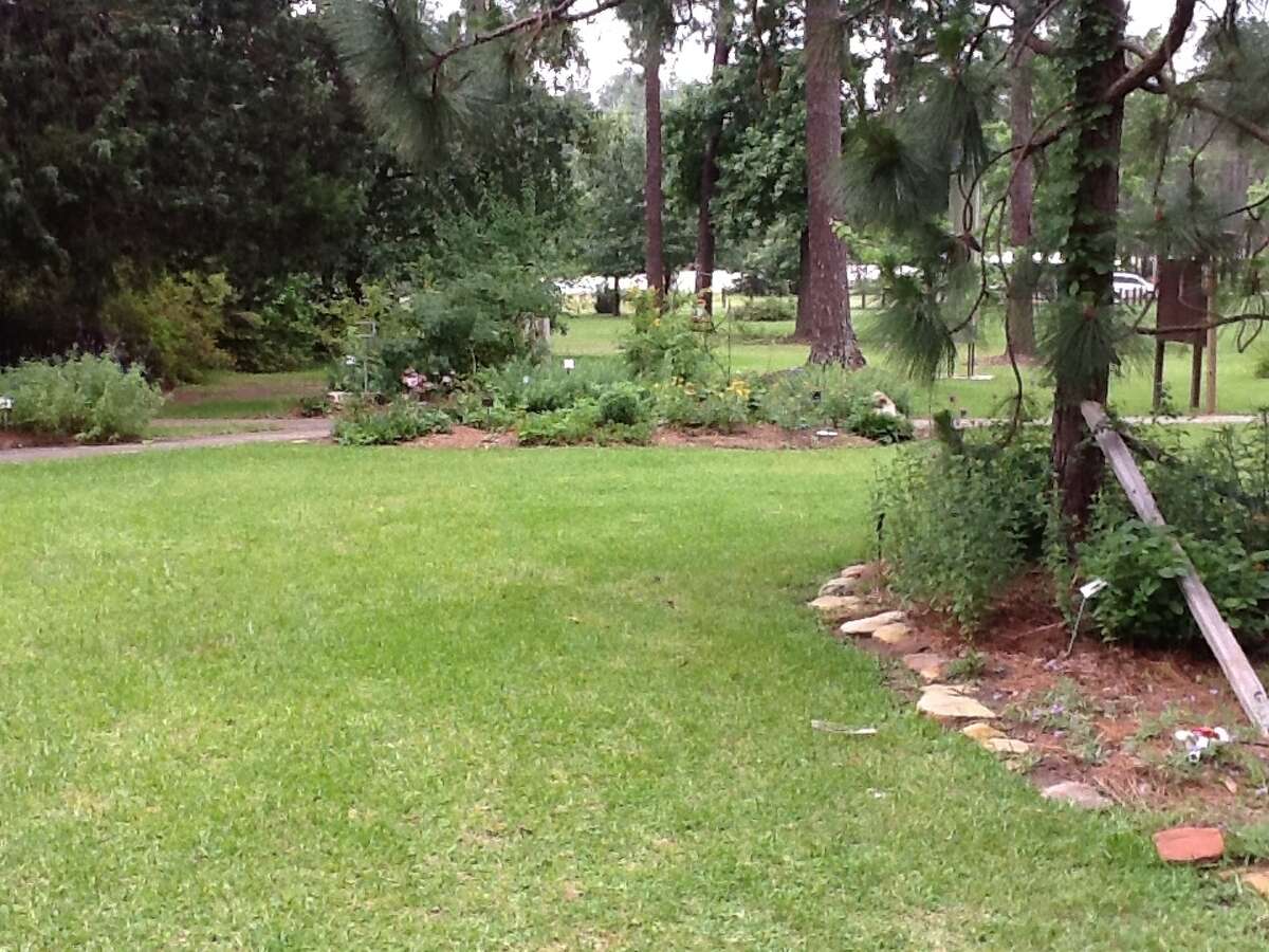 How to turn your yard into an ecosystem