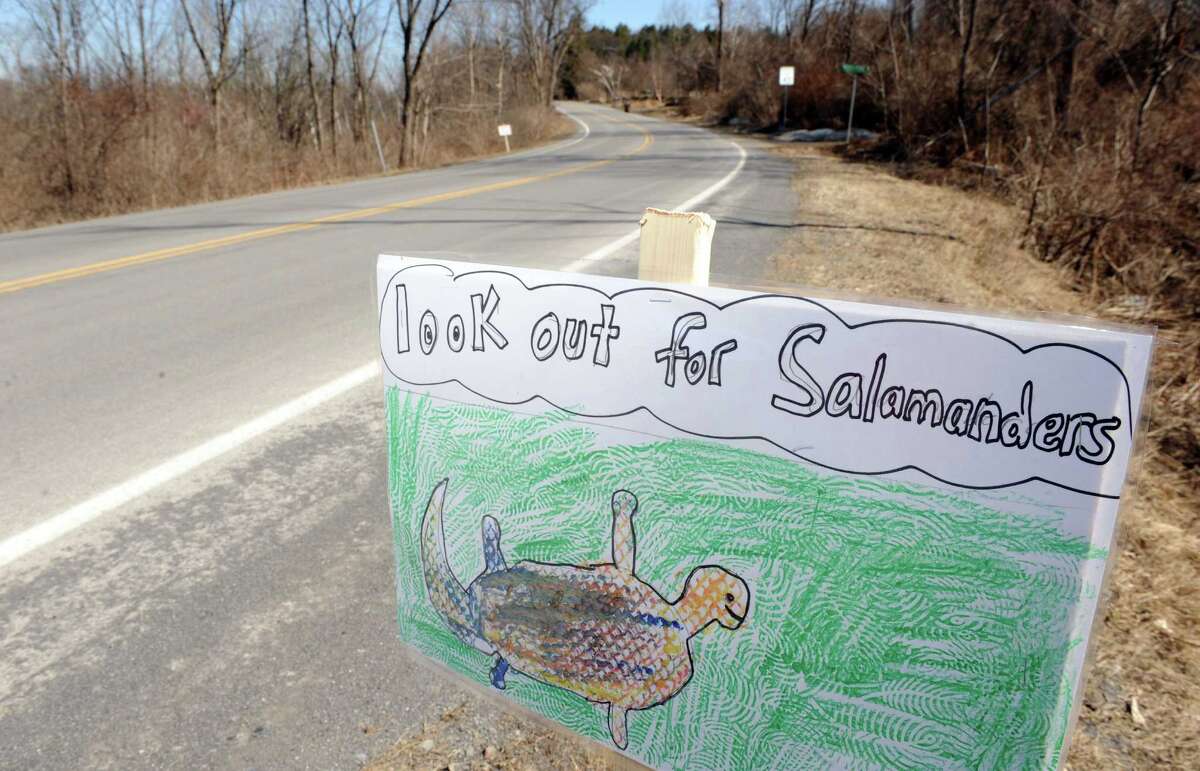 Altamont kids warn drivers: Watch out for salamanders