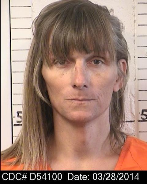 Transgender inmate’s sex-change surgery must proceed, judge rules
