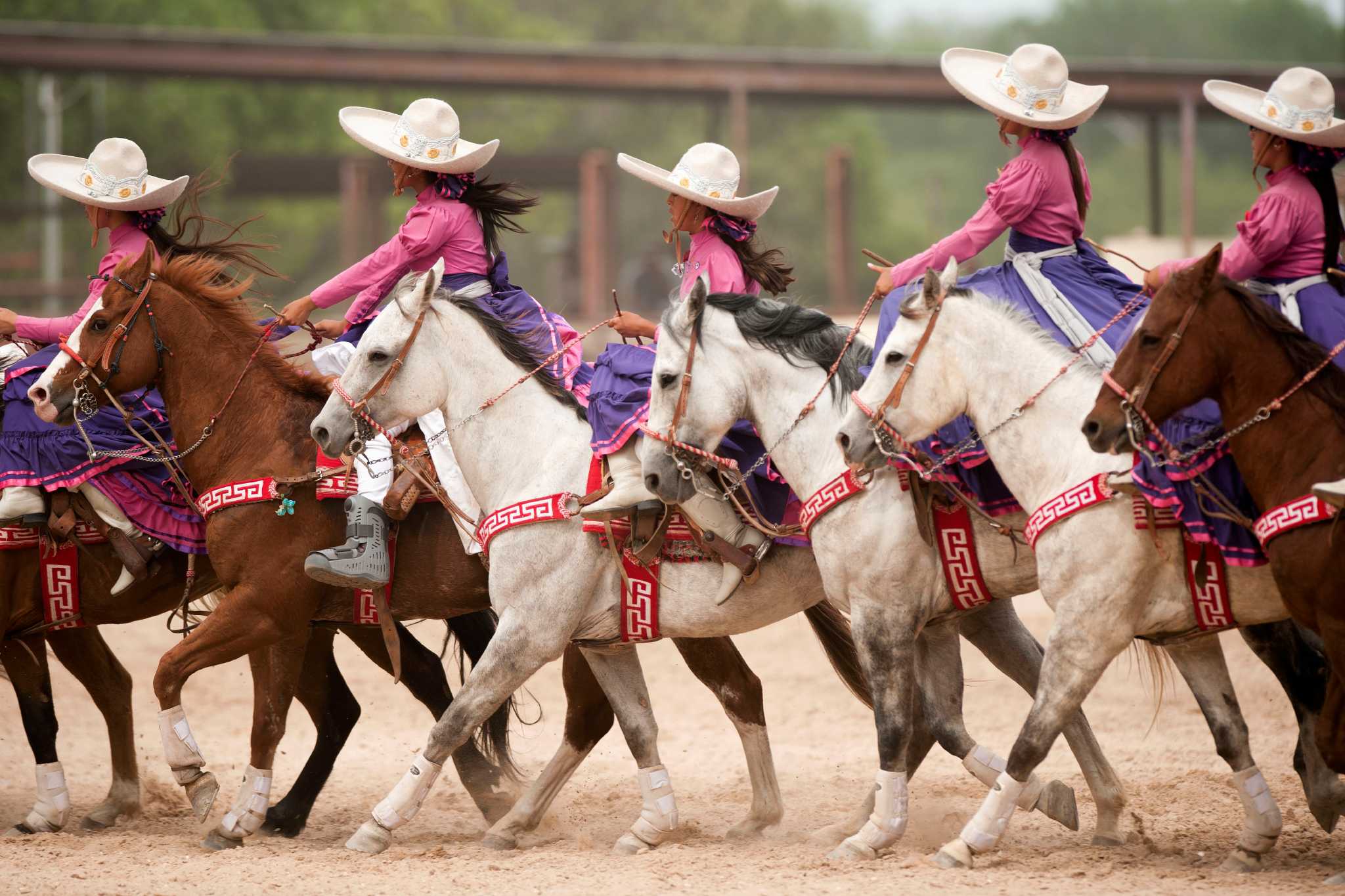 Fiesta schedule: April 19