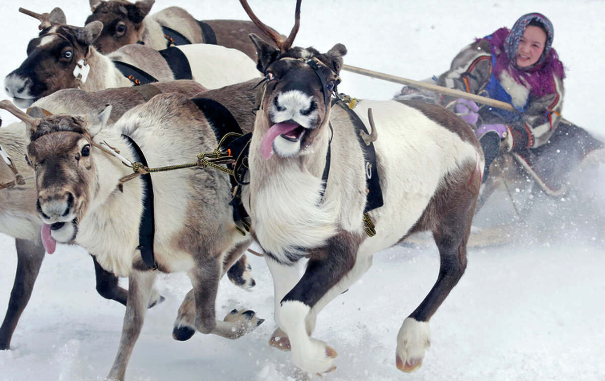 Russia’s Nenets celebrate Reindeer Herders Day