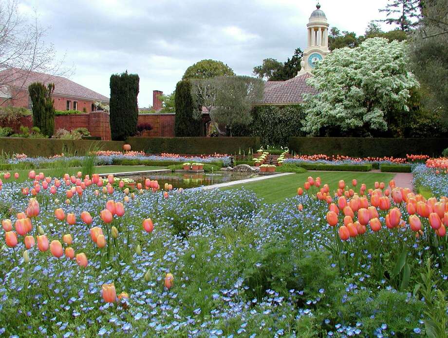 Filoli Gardens Cafe Menu | Fasci Garden