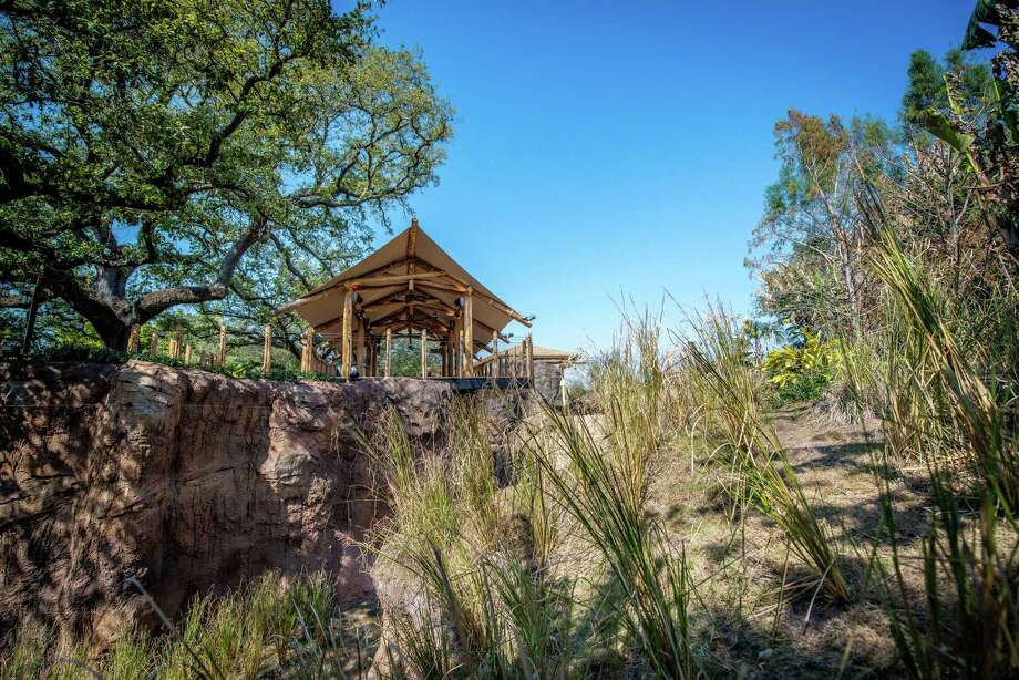 Houston Zoo debuts new gorilla exhibit for media and zoo members ...