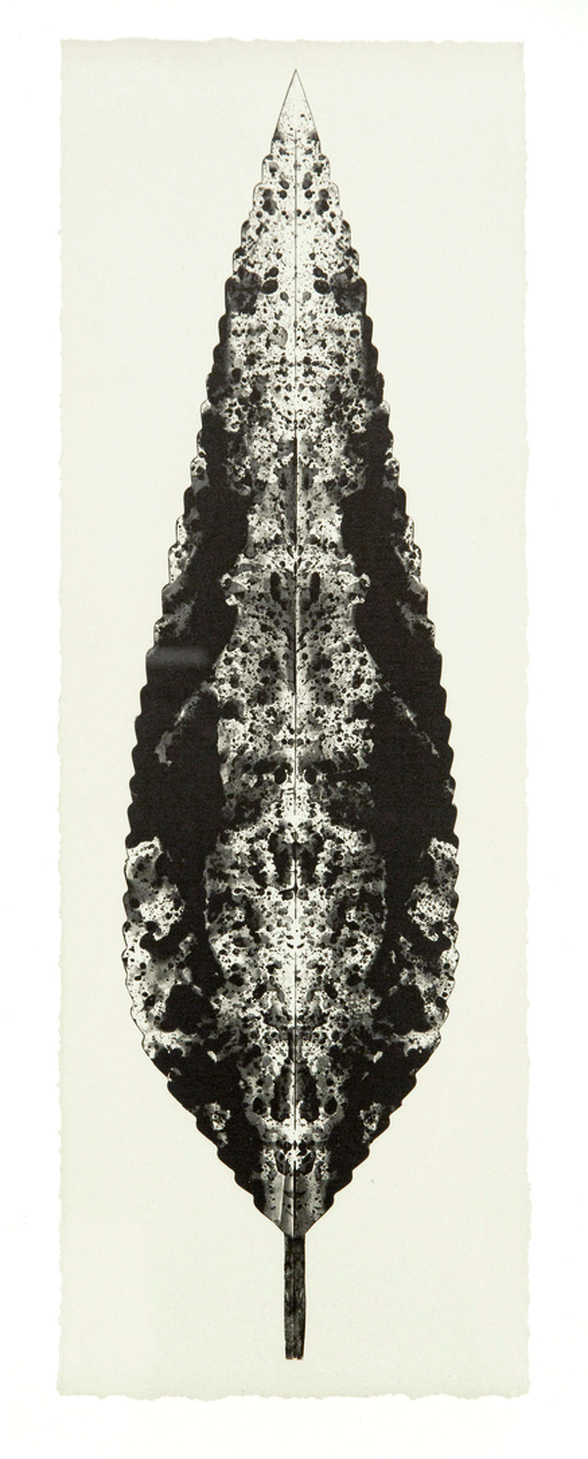 Bruce Conner’s many editions of self in San Jose