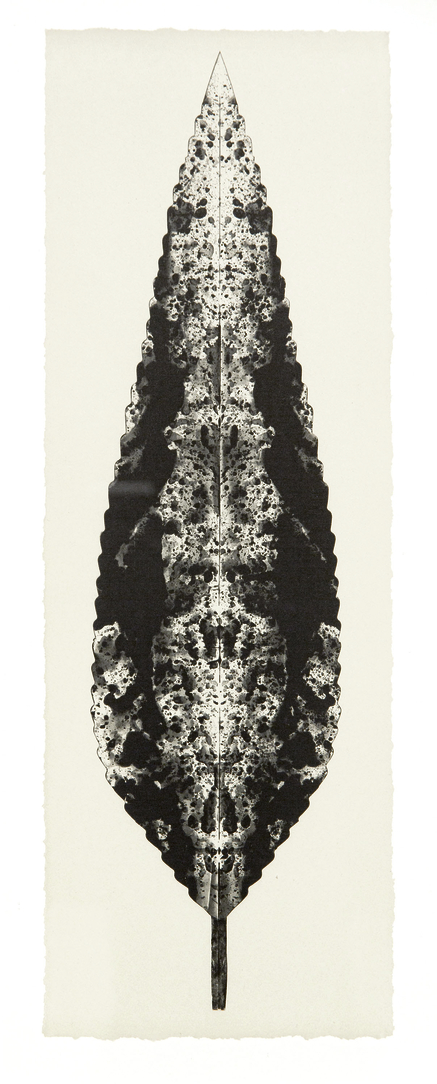 Bruce Conner’s many editions of self in San Jose