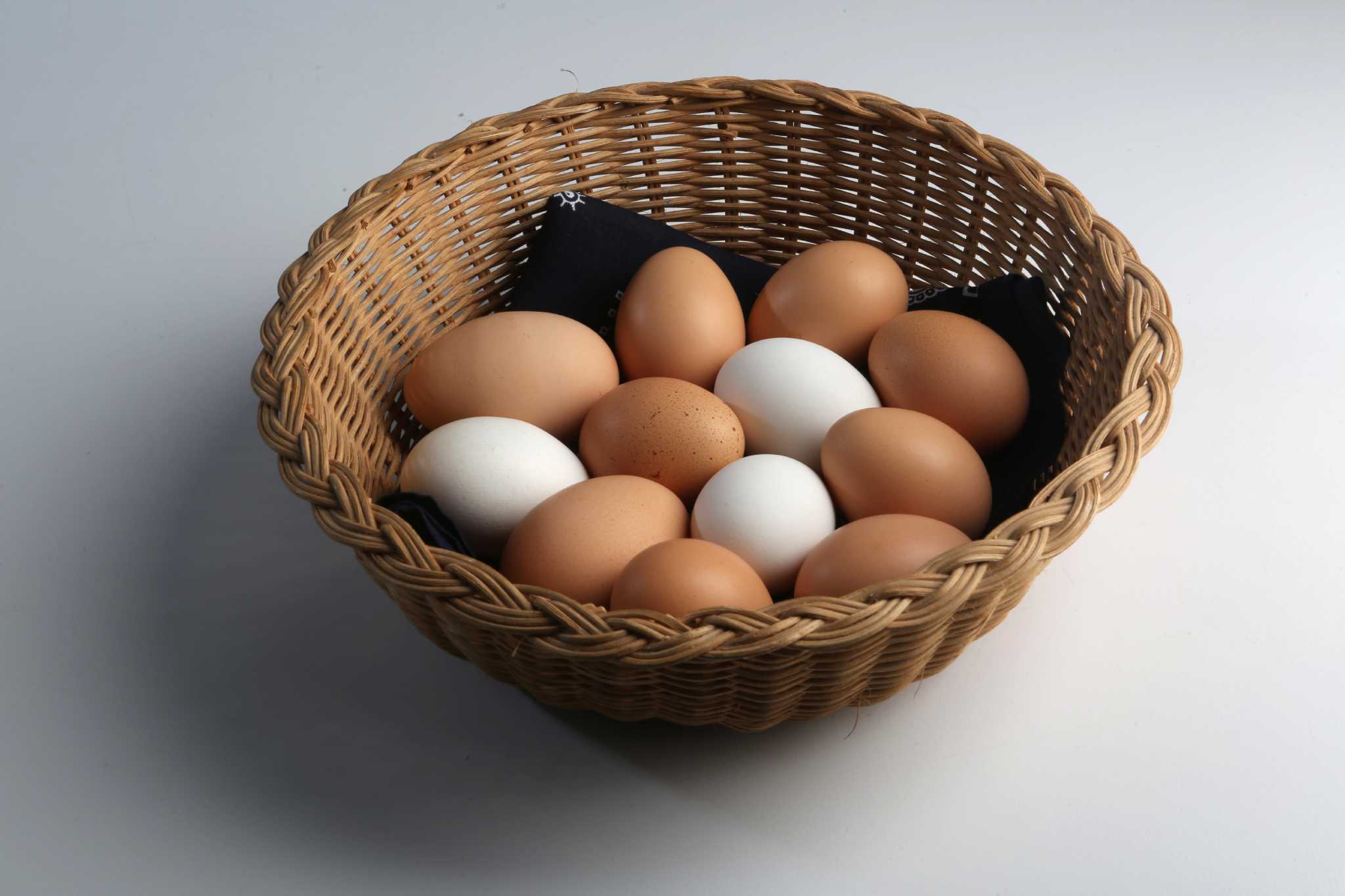 Why I keep chickens -- and why you should, too