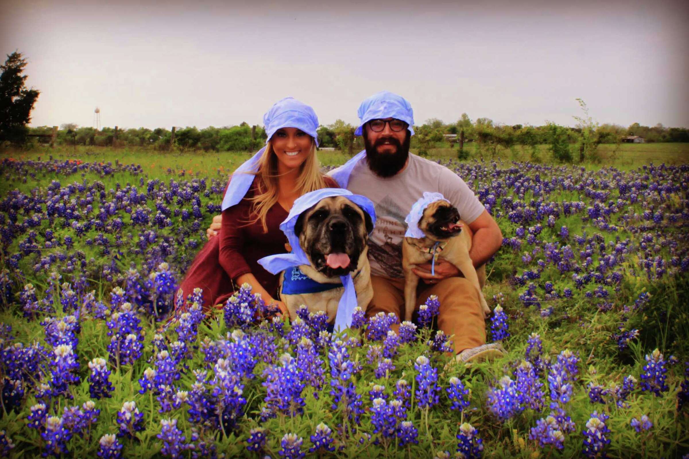 Incredibly beautiful, rare albino bluebonnets photographed in Texas ...